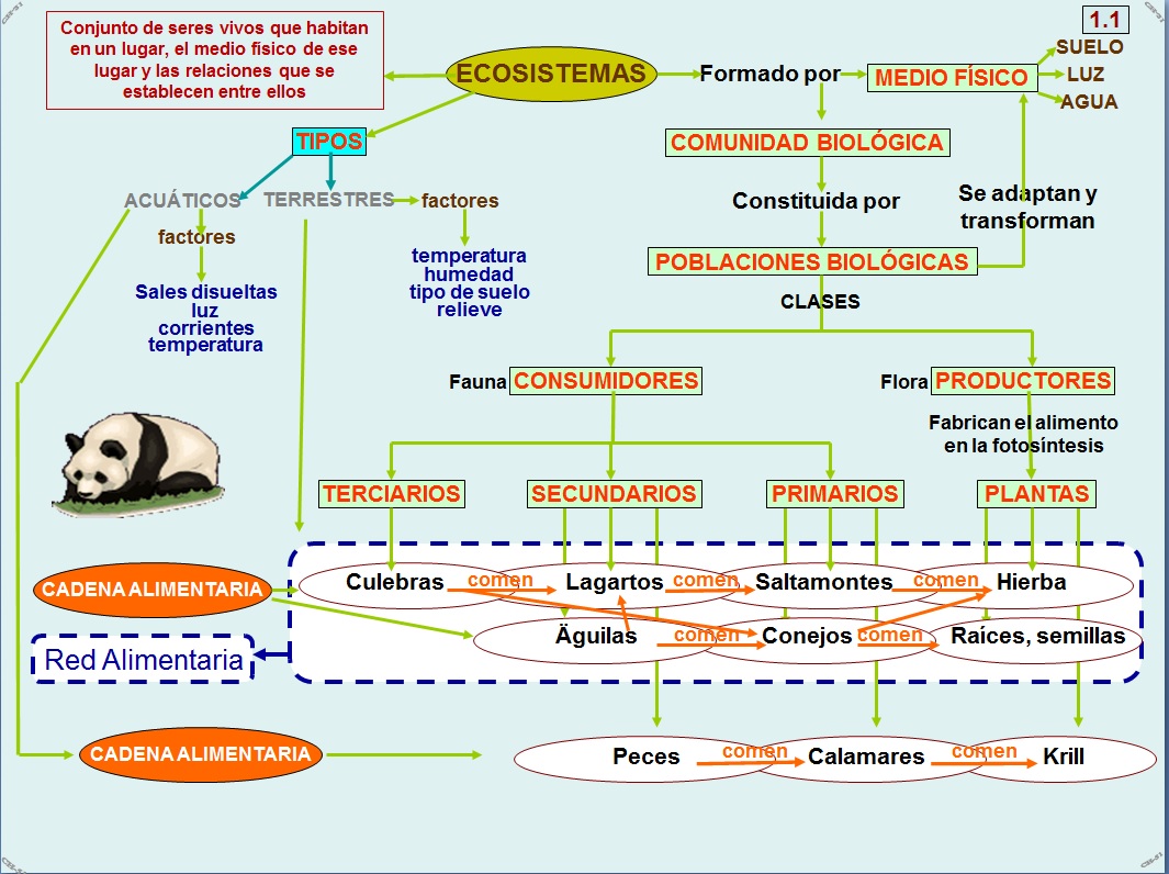 1 Los componentes de los ecosistemas. | 5º de primaria